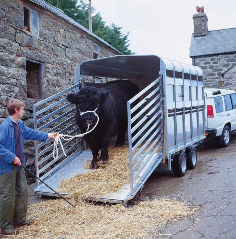 DP120 12x6 - 1 etasje - Ifor Williams Norge